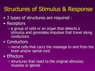 Introduction To Neuroscience | PPT