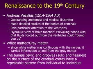 Introduction To Neuroscience | PPT