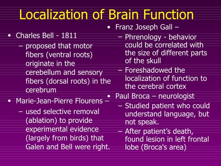 Introduction To Neuroscience