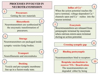 INTRODUCTION TO NEUROTRANSMITTERS_DR.SHAISTA EMAD_2024.ppt
