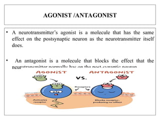 INTRODUCTION TO NEUROTRANSMITTERS_DR.SHAISTA EMAD_2024.ppt
