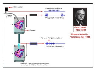 INTRODUCTION TO NEUROTRANSMITTERS_DR.SHAISTA EMAD_2024.ppt