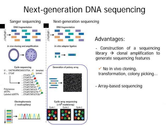 Introduction to next generation sequencing | PDF