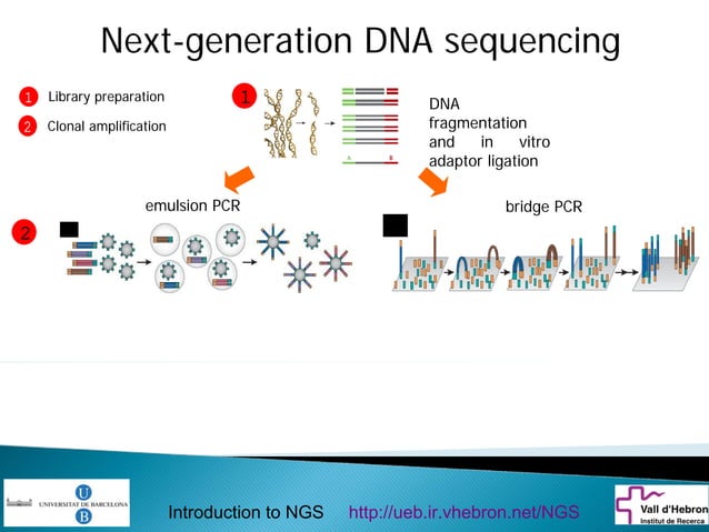 Introduction to next generation sequencing | PDF