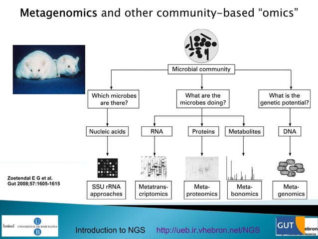 Introduction to next generation sequencing | PDF