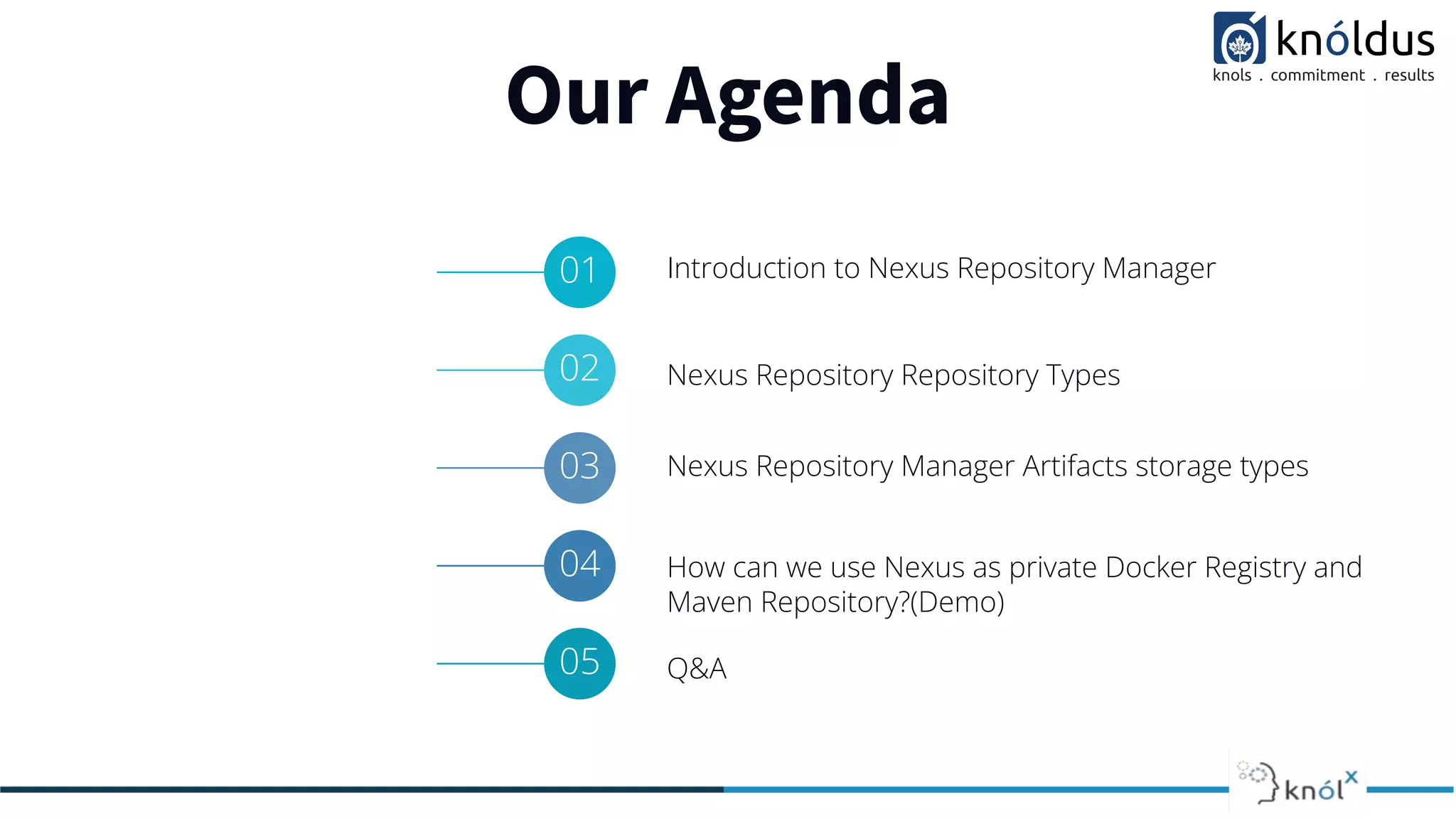 Introduction to Nexus Repository Manager.pdf