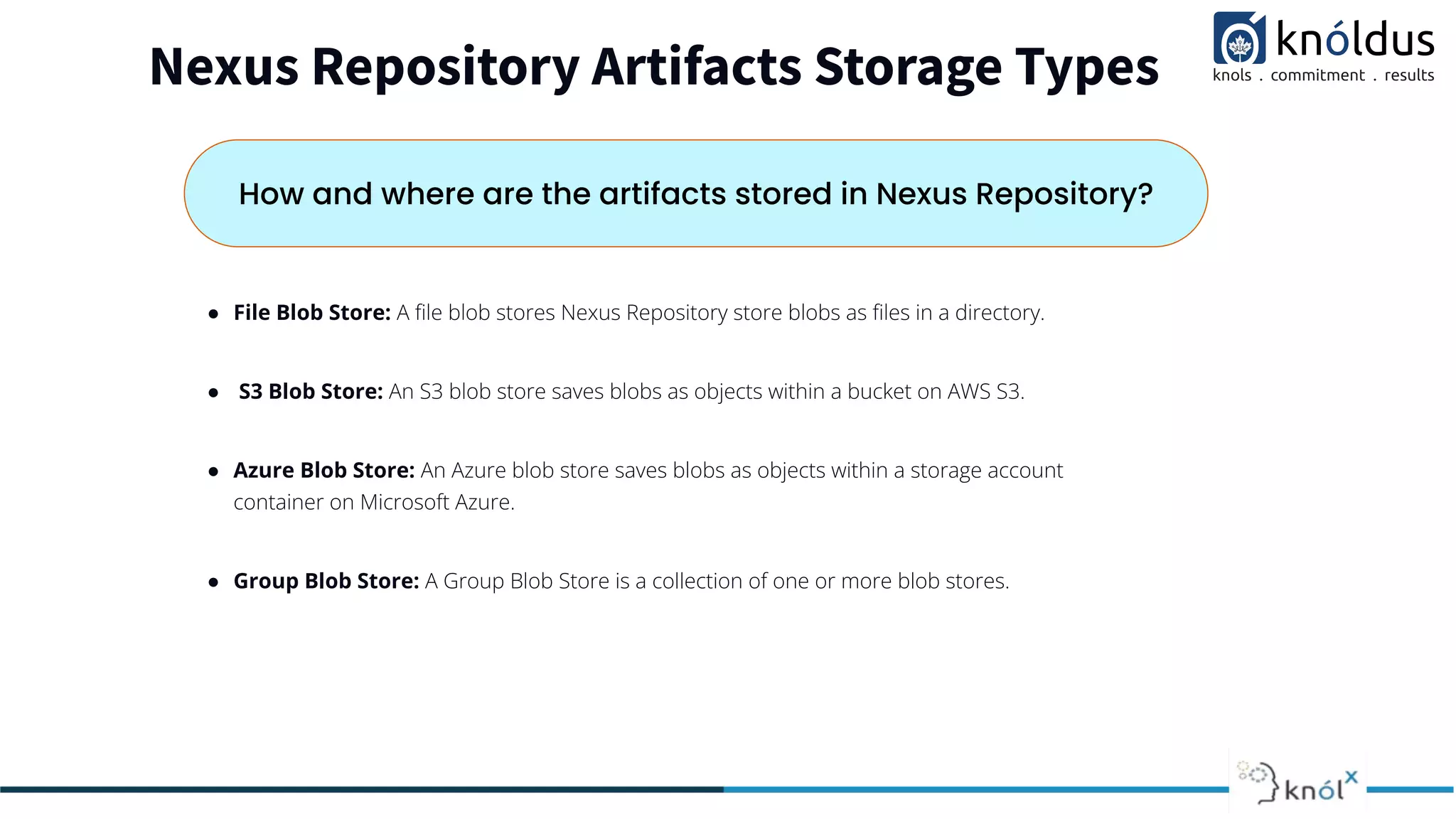 Introduction to Nexus Repository Manager.pdf