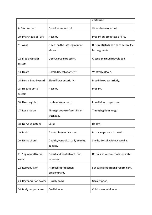 Difference Between Chordates And Non Chordates Chordates