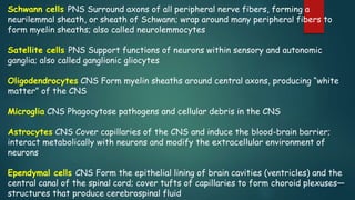Introduction to ns | PPTX