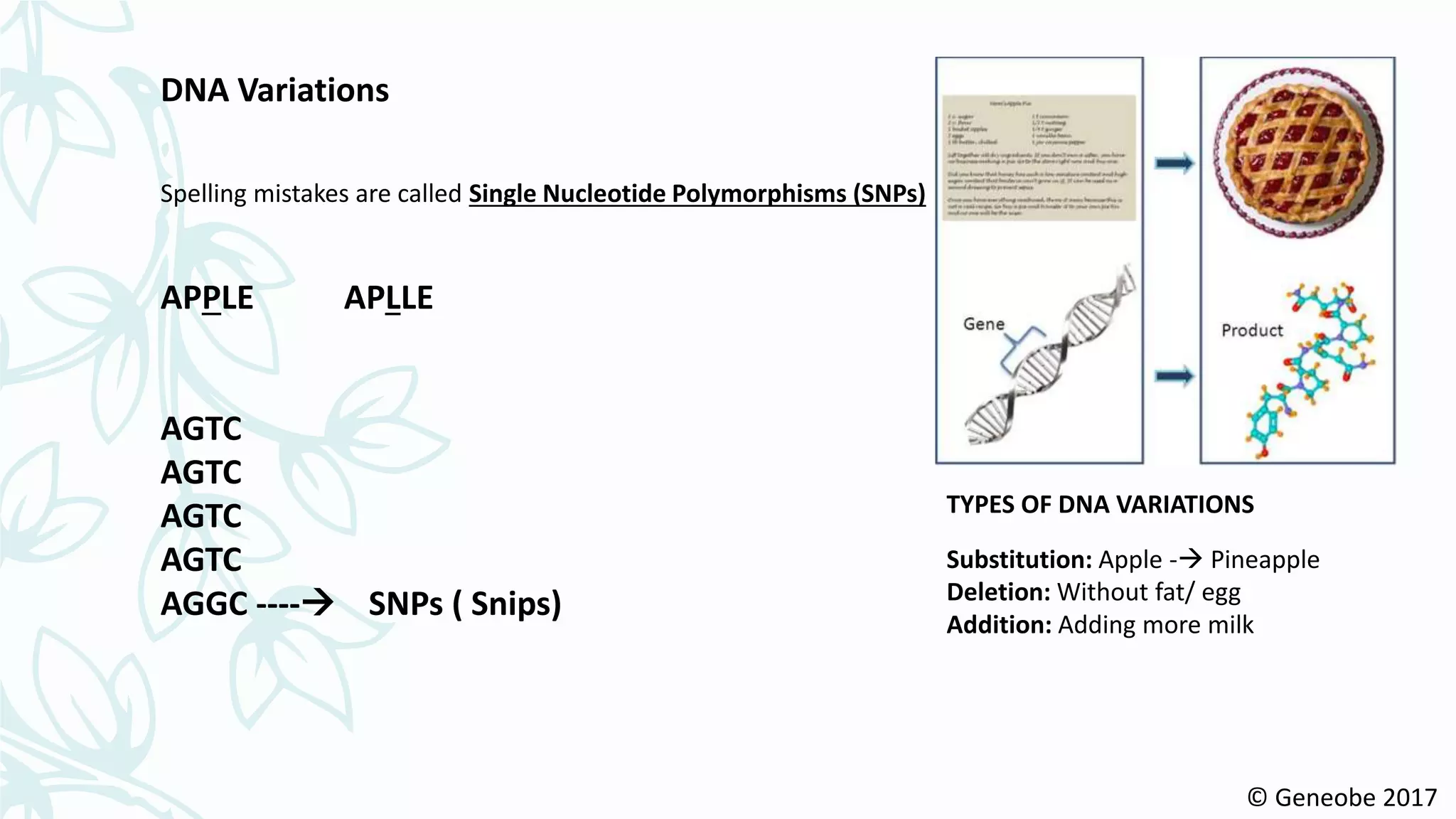 INTRODUCTION TO NUTRIGENETICS- GENES AND ITS FUNCTIONS | PPTX