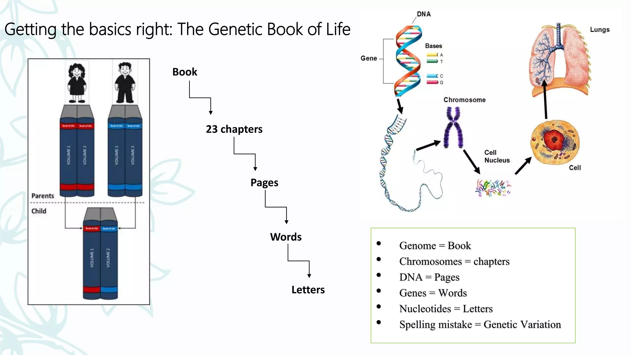 INTRODUCTION TO NUTRIGENETICS- GENES AND ITS FUNCTIONS | PPTX