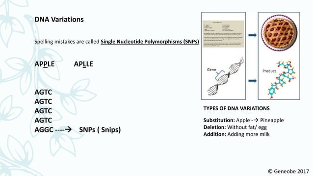INTRODUCTION TO NUTRIGENETICS- GENES AND ITS FUNCTIONS | PPT