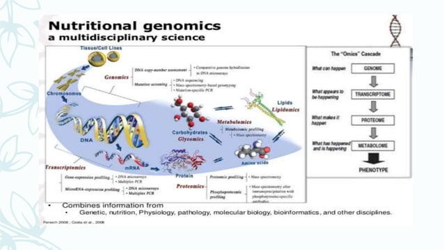 INTRODUCTION TO NUTRIGENETICS- GENES AND ITS FUNCTIONS | PPT