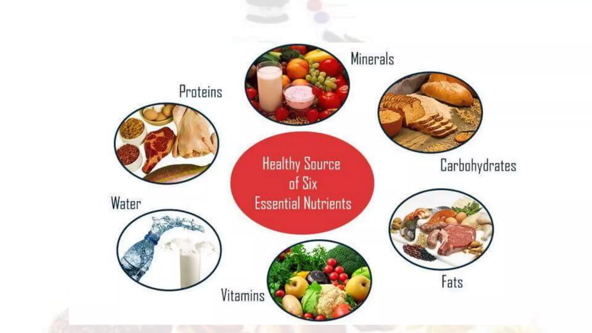 INTRODUCTION TO NUTRITION.pptx