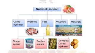 INTRODUCTION TO NUTRITION.pptx