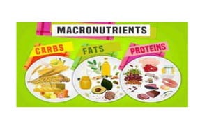 Introduction to Nutrition.pptx