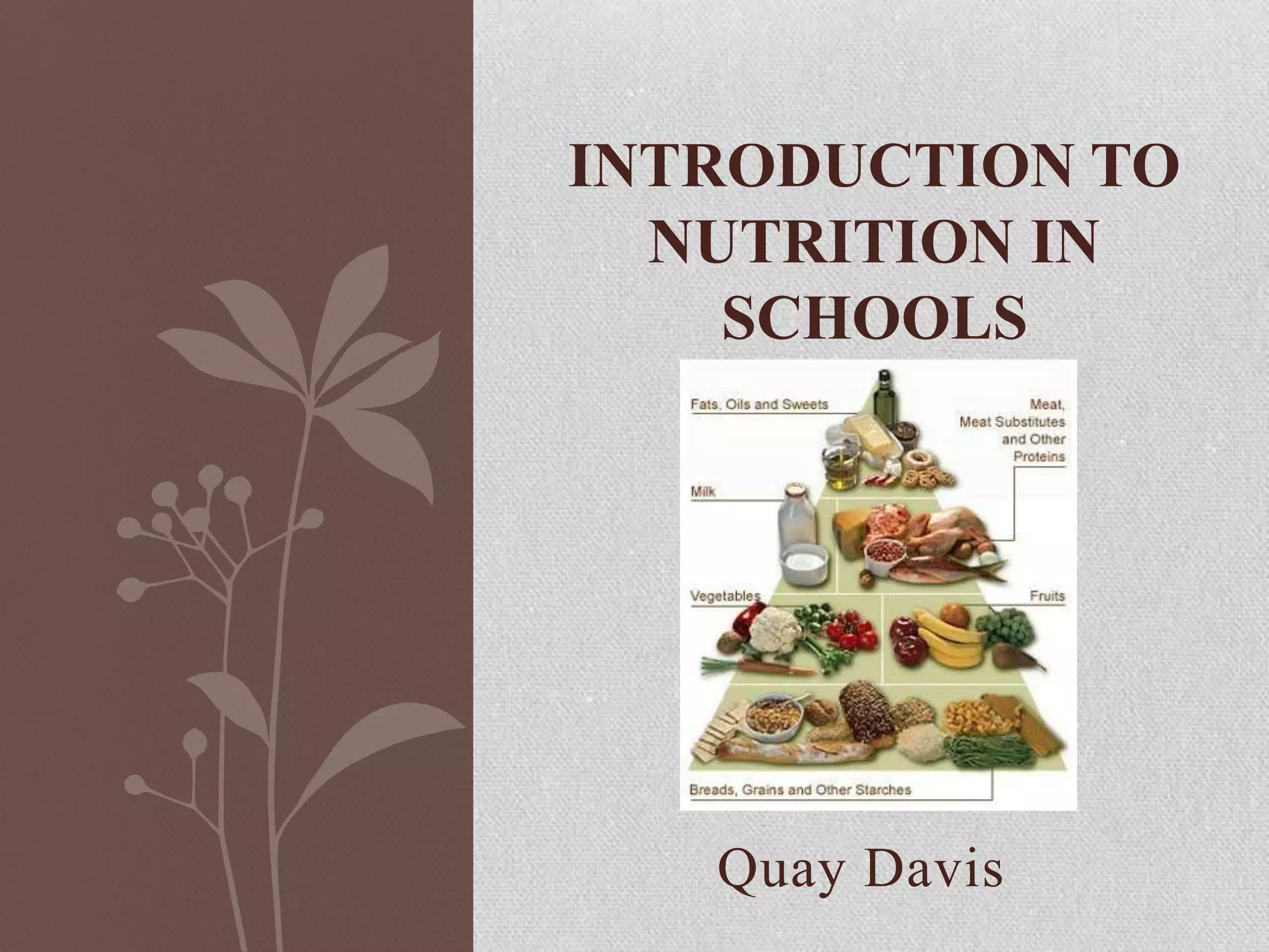 Introduction to nutrition in schools | PPTX | Children\'s Health ...