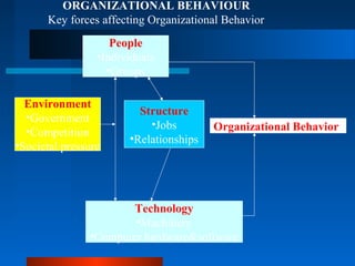 Introduction to ob | PPT