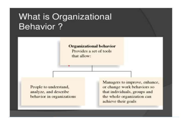 Introduction to Organizational Behaviour.pptx