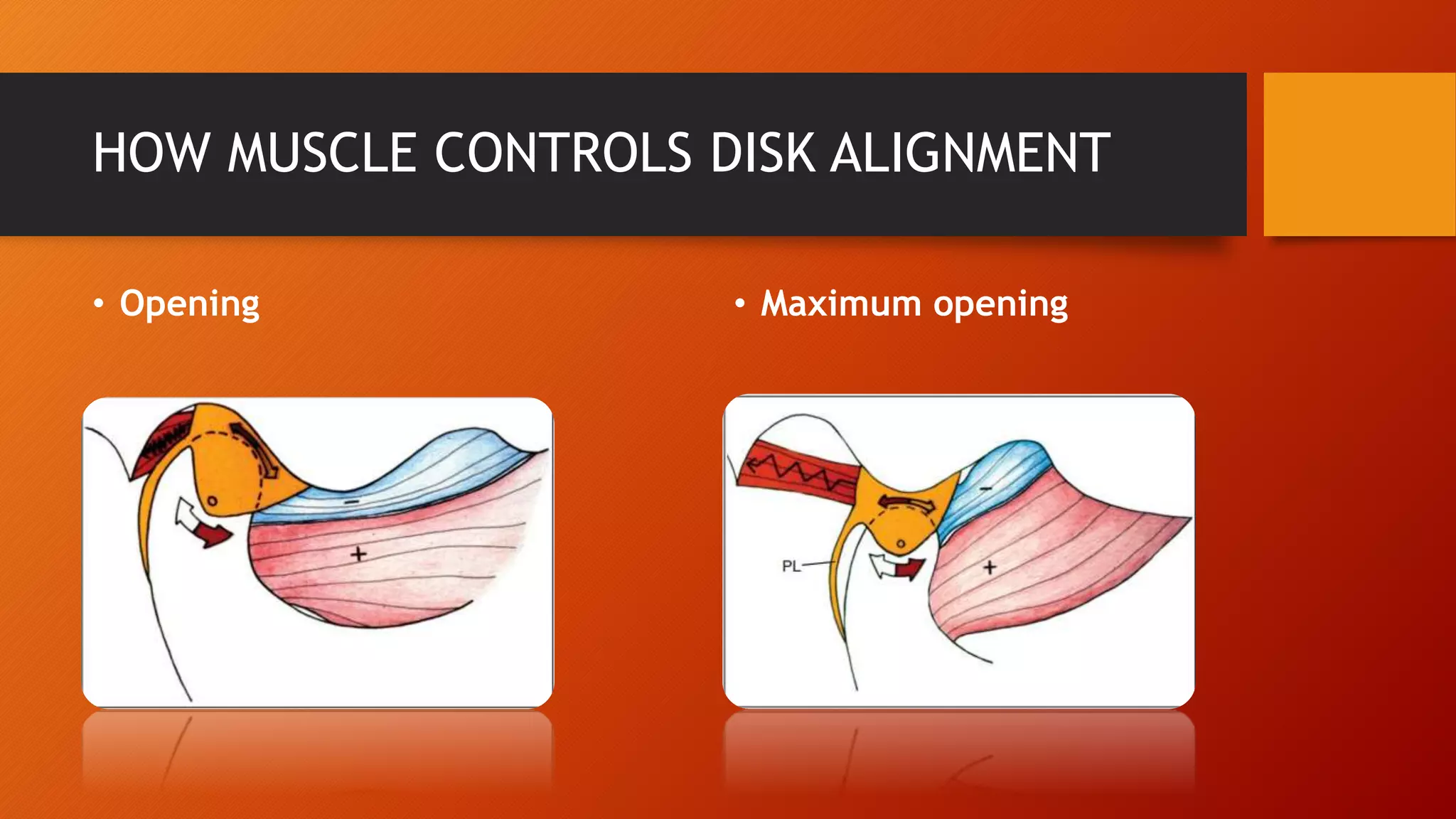 Introduction to occlusion | PPTX
