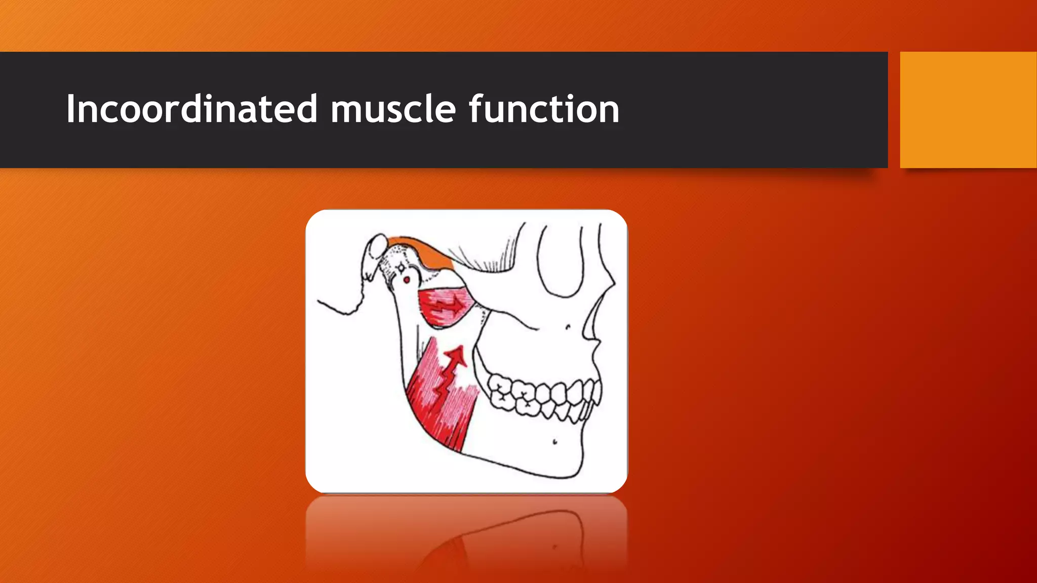 Introduction to occlusion | PPTX