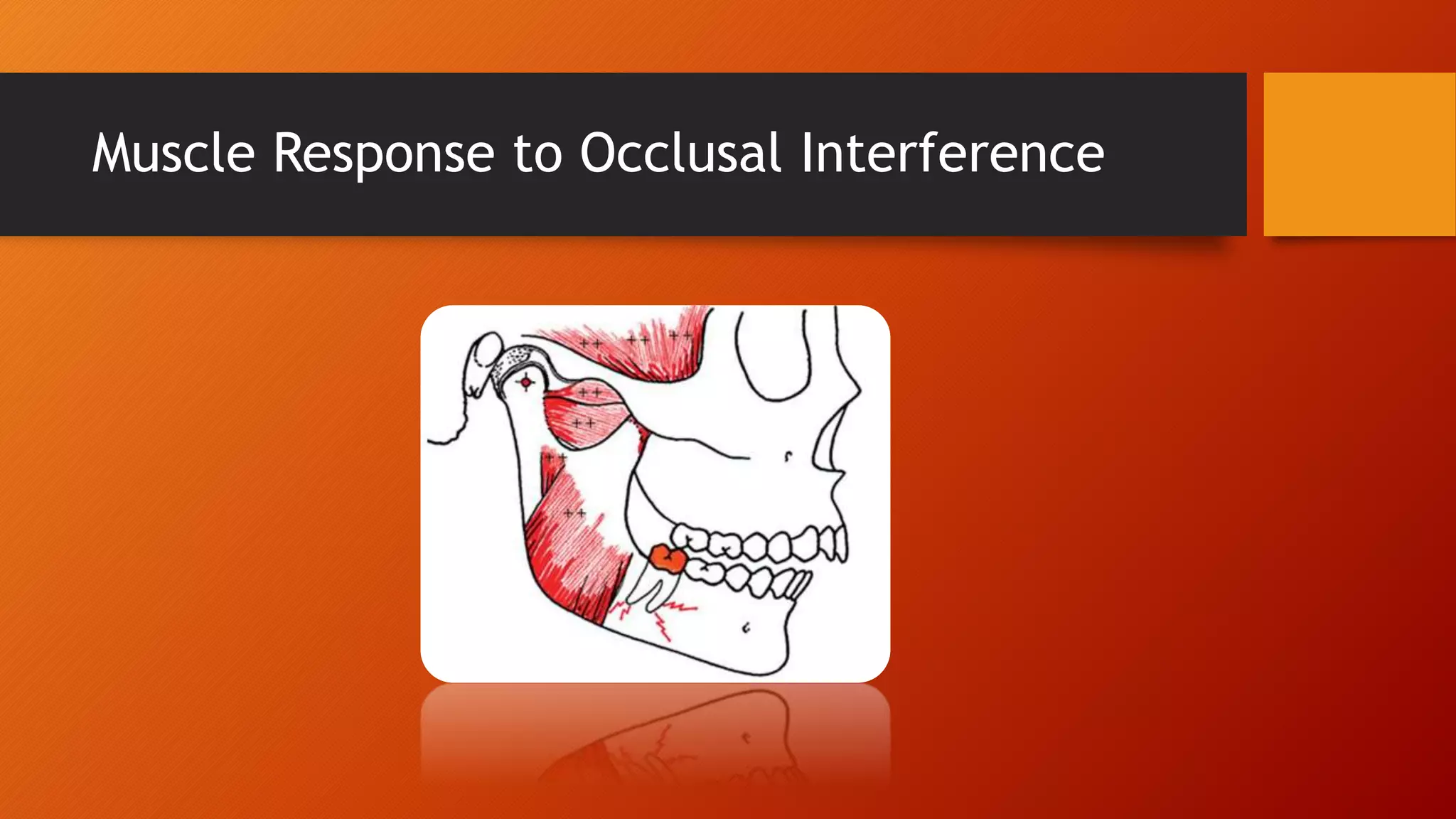 Introduction to occlusion | PPTX