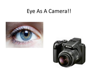 Introduction to ocular anatomy and physiology -a presentation at www ...