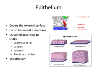 Introduction to ocular anatomy and physiology -a presentation at www ...