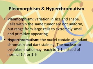 Introduction to oncology | PPTX