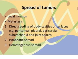 Introduction to oncology | PPTX