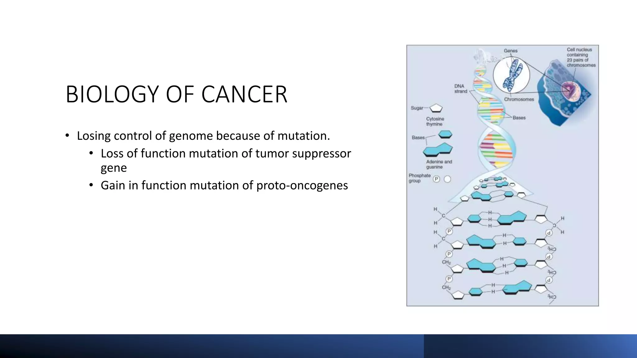 Introduction to oncology | PPTX