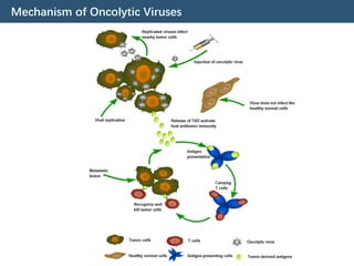 Introduction to Oncolytic Viruses | PDF
