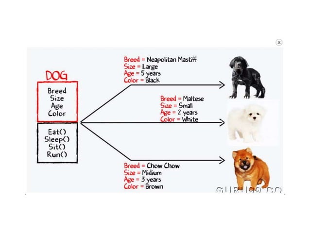 Introduction To Oop And Java Fundamentals Ppt