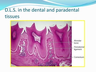 Introduction to Oral Biology | PPTX