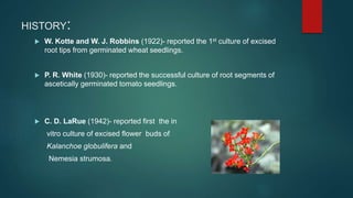 Introduction to organ culture in plant tissue culture and root culture ...