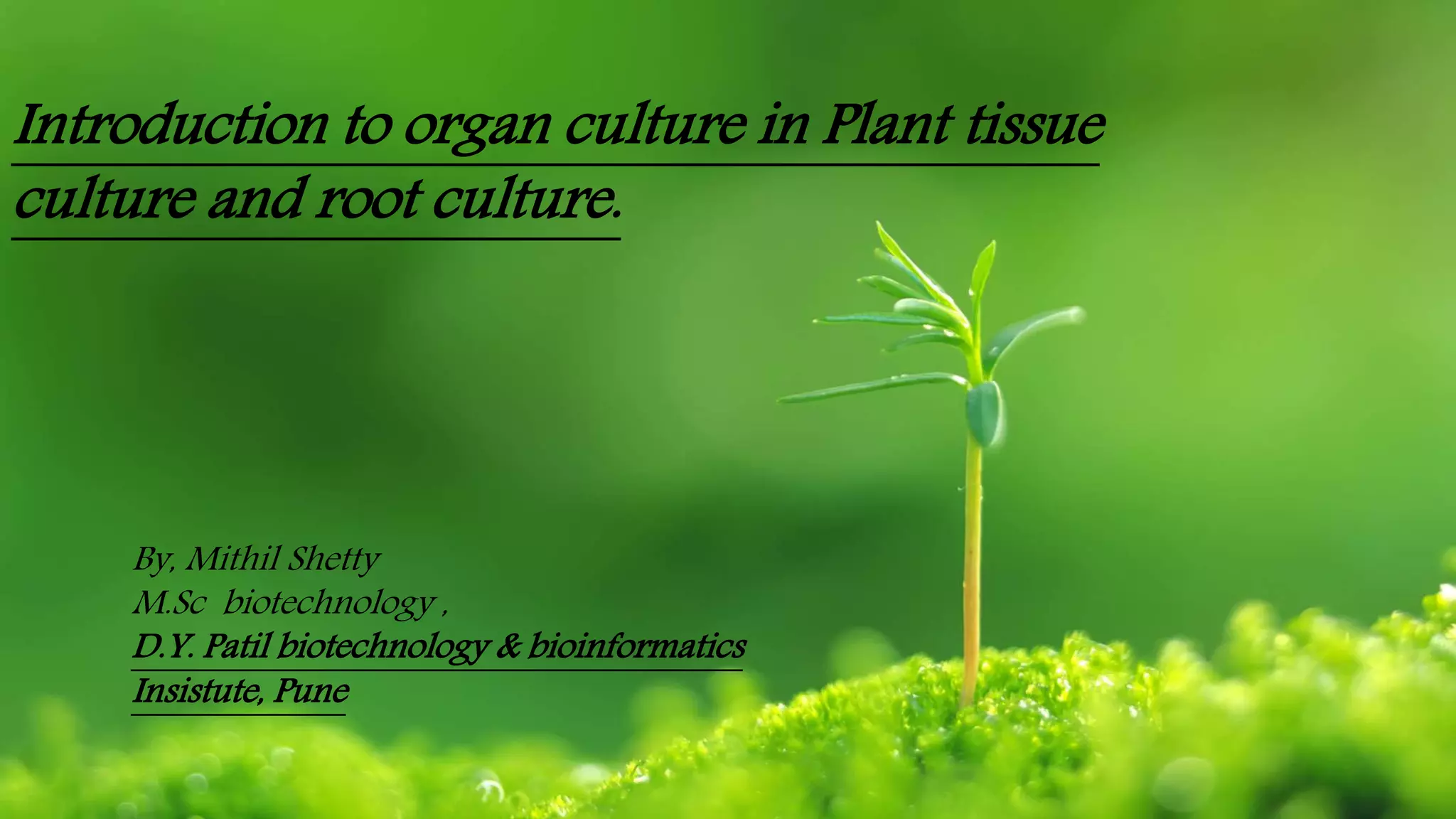 Introduction to organ culture in ptc and root culture | PPTX