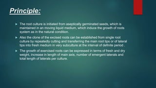 Introduction to organ culture in ptc and root culture | PPTX