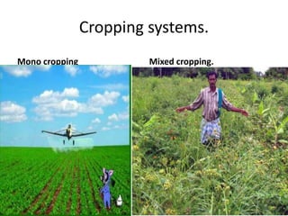 Introduction to organic farming. | PPT