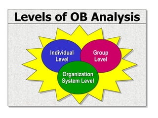 Introduction to organizational behavior | PDF