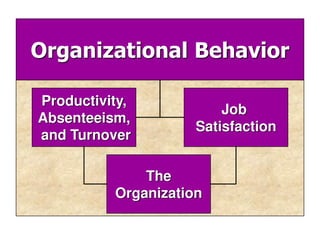 Introduction to organizational behavior | PDF