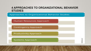 Introduction to Organizational Behavior.pptx