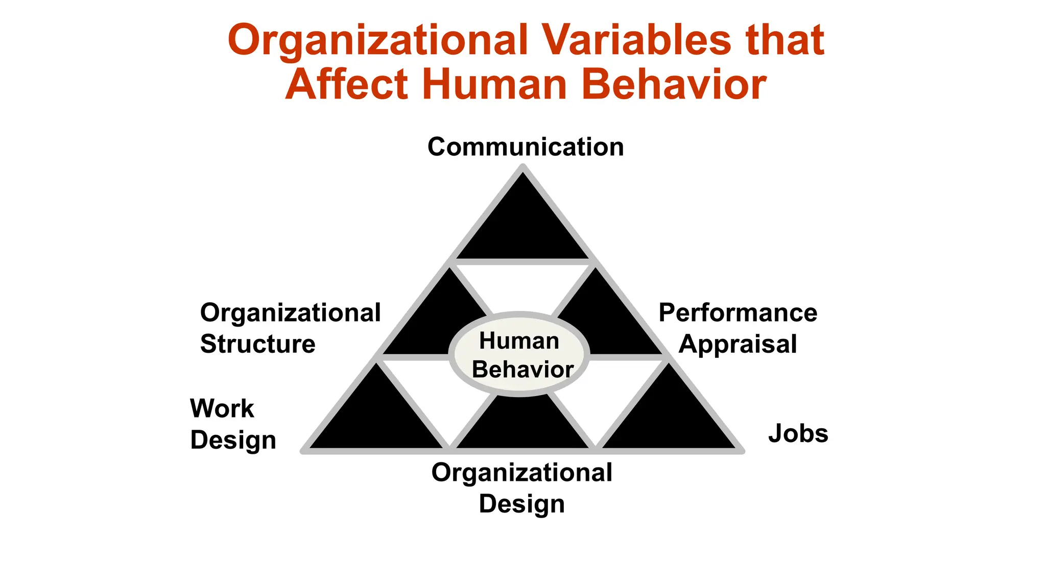 Introduction to Organizational Behavior.pptx