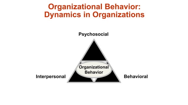 Introduction to Organizational Behavior.pptx