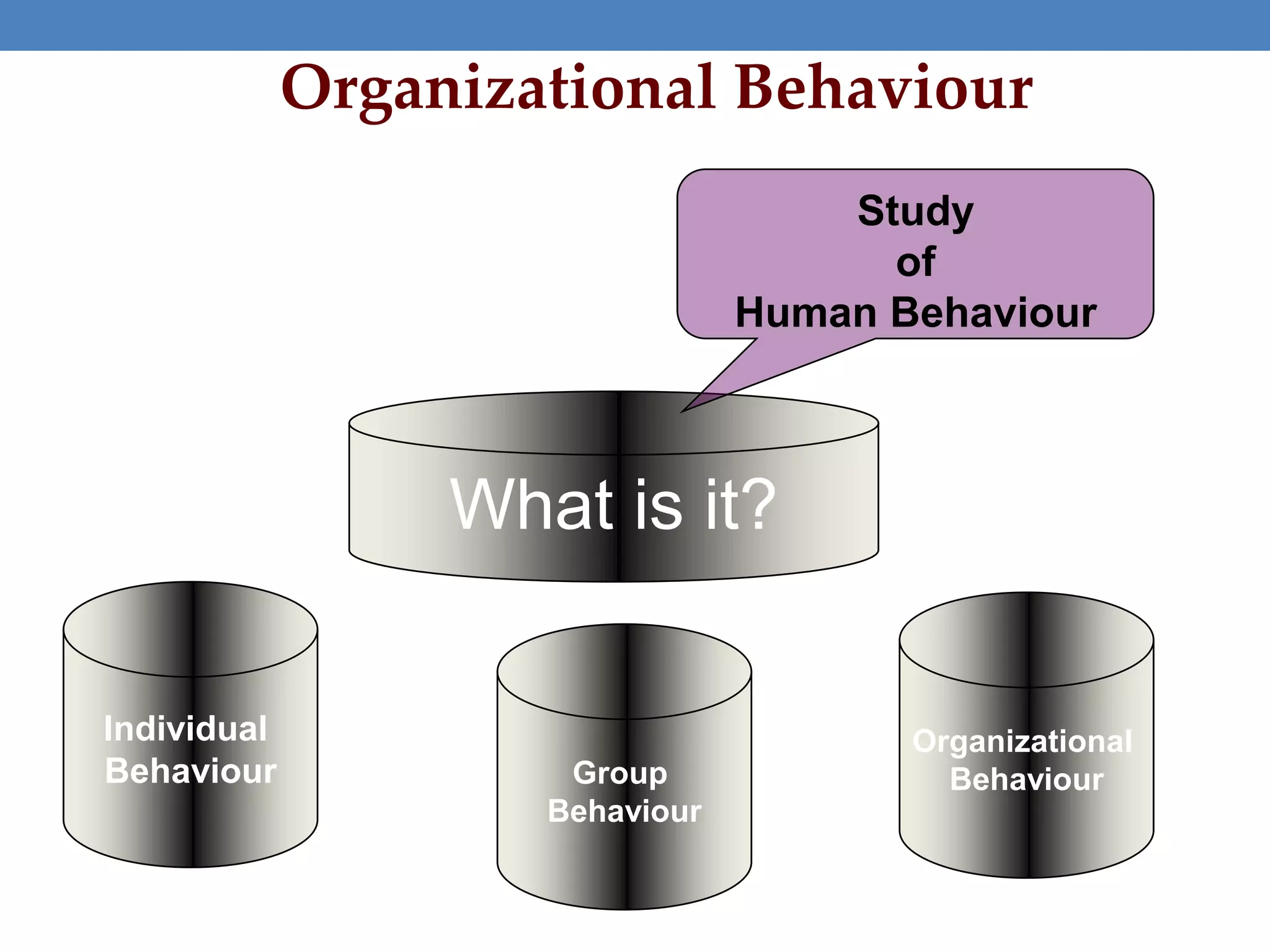 Introduction to organizational behaviour | PPTX