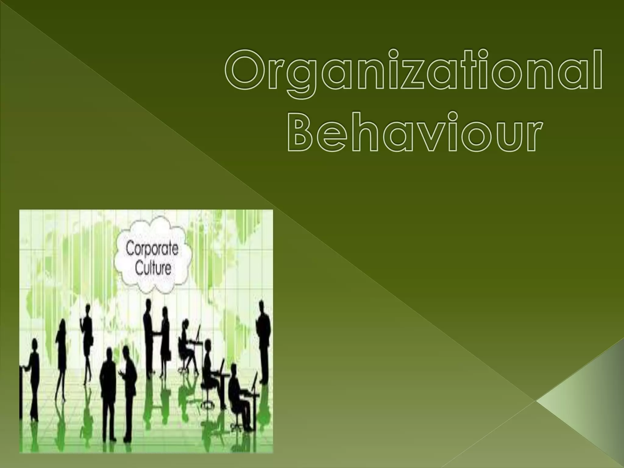 Introduction to organizational behaviour | PPT