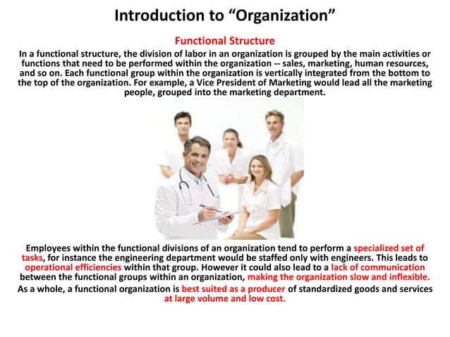 Introduction To Organization Fundamentals Ppt Presentation Eashwer | PPSX