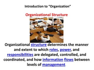 Introduction To Organization Fundamentals Ppt Presentation Eashwer | PPSX