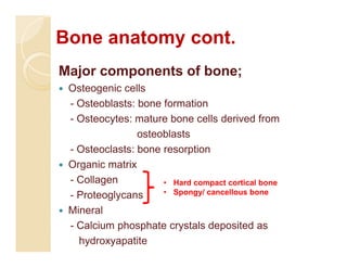 Introduction to orthopaedics, bone anatomy and physiology.pdf