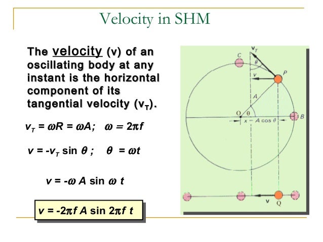 Introduction to oscillations and simple harmonic motion