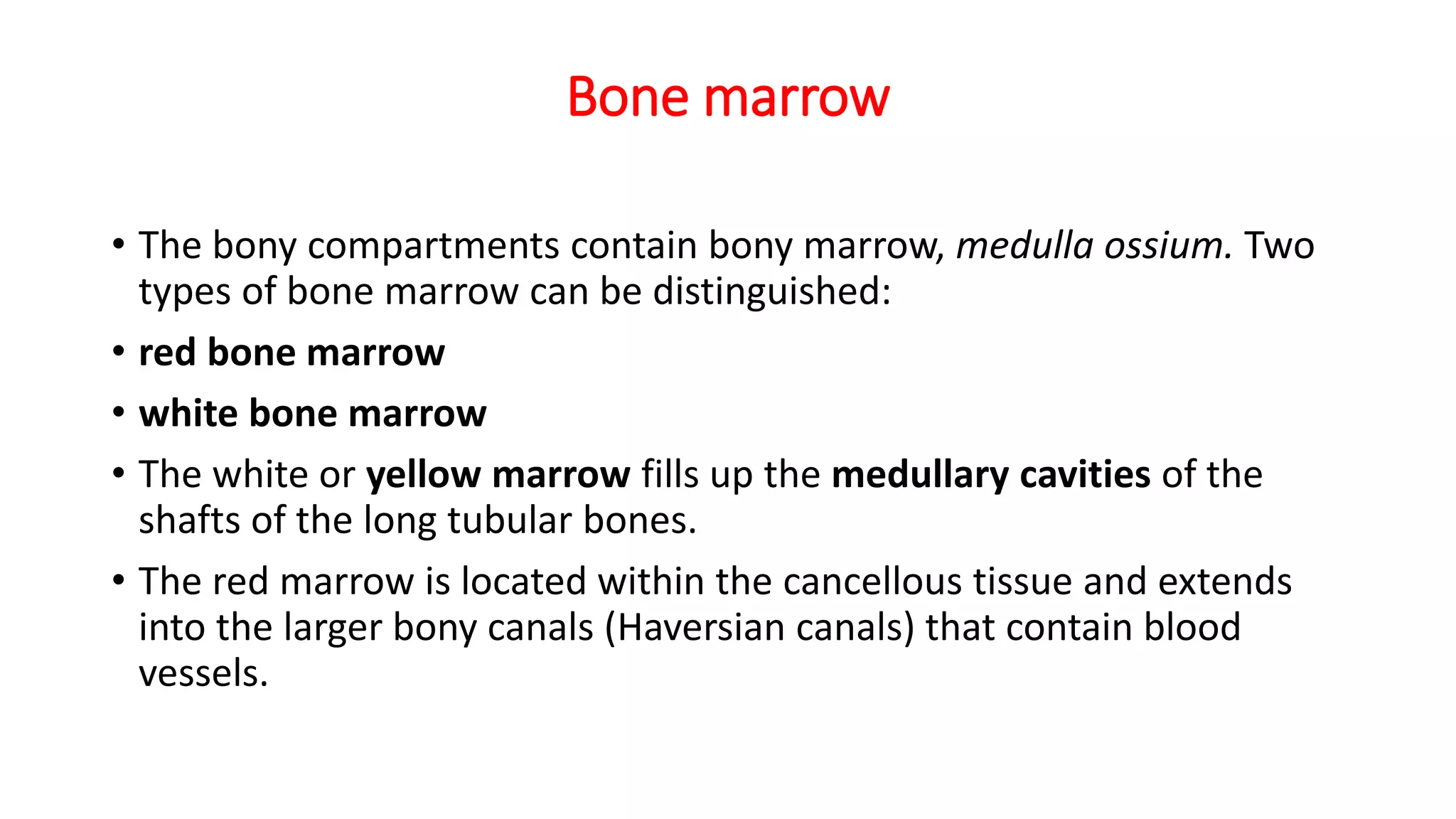 Introduction to osteology | PPTX